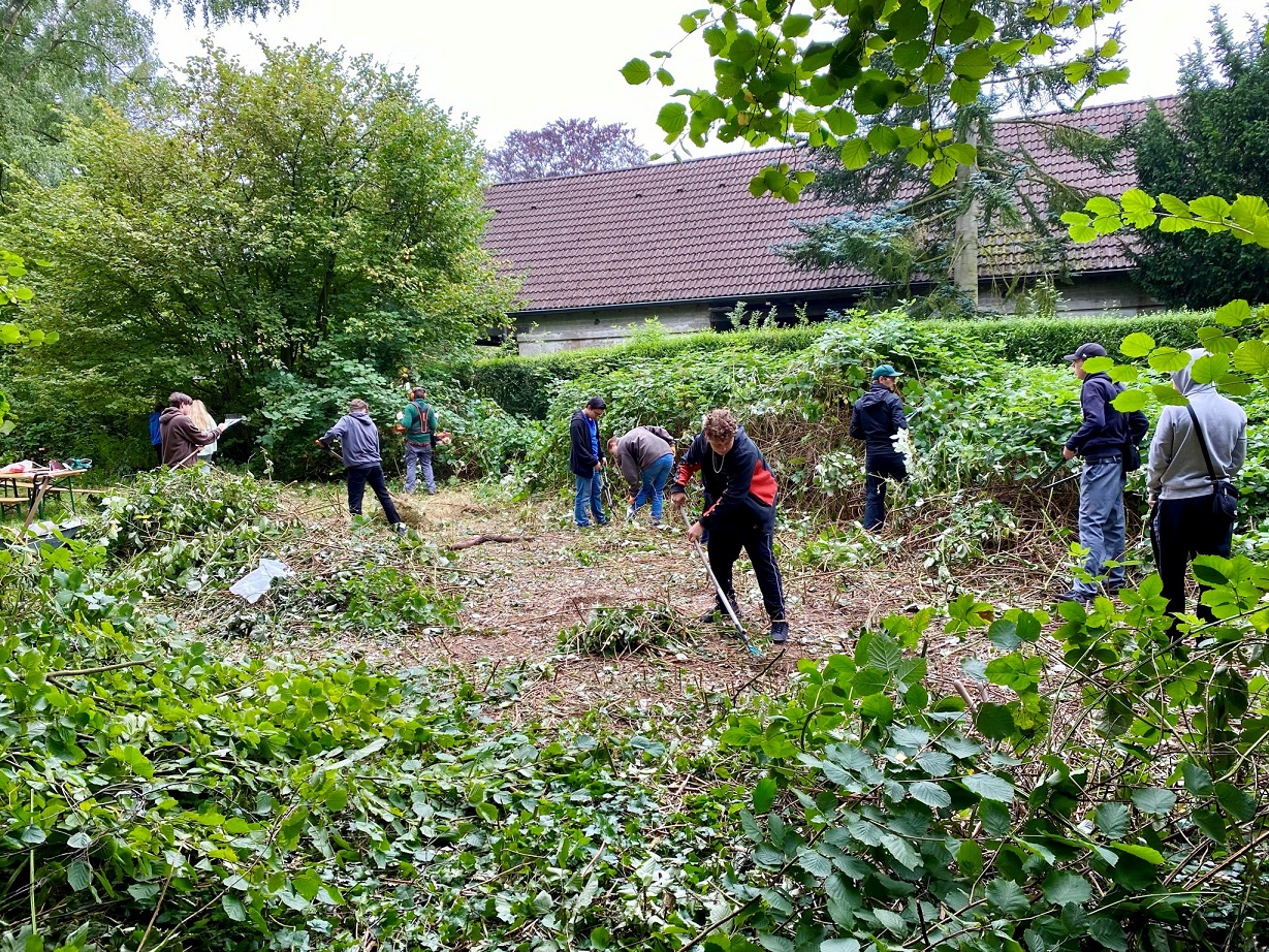 Alle Projekte, für die I do Essen Spenden sammelt